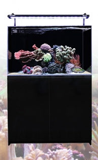 Aqua One Mini reef 160 Aquarium BLACK – Guppy's Aquarium Products